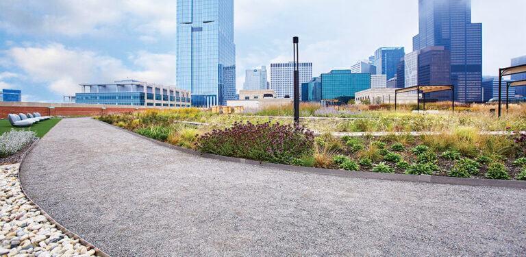 Great Landscaping Ideas: Different Ways to Edge Your Decomposed Granite ...